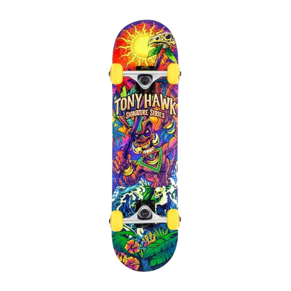 Tony Hawk signature series complete – bundoransurfshop